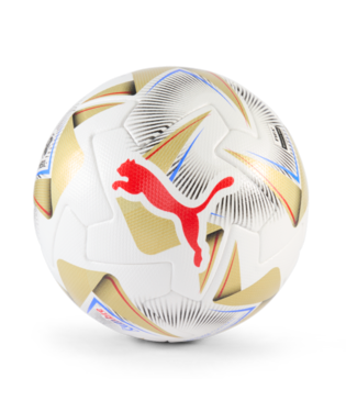 Puma Cumbre Conmebol Copa America Match Official Ball – Springfield ...