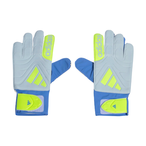 Adidas Copa Club GK Gloves – Springfield & Woodbridge Soccer Supplies