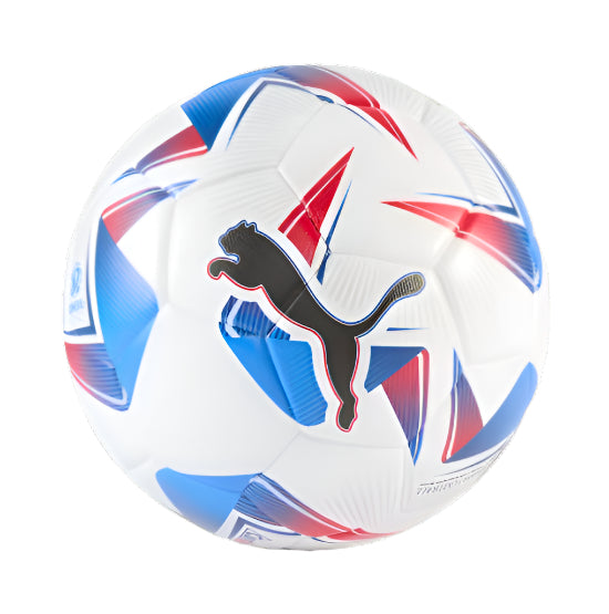 Puma Cumbre CONMEBOL Copa América (FIFA Quality) Soccer Ball ...